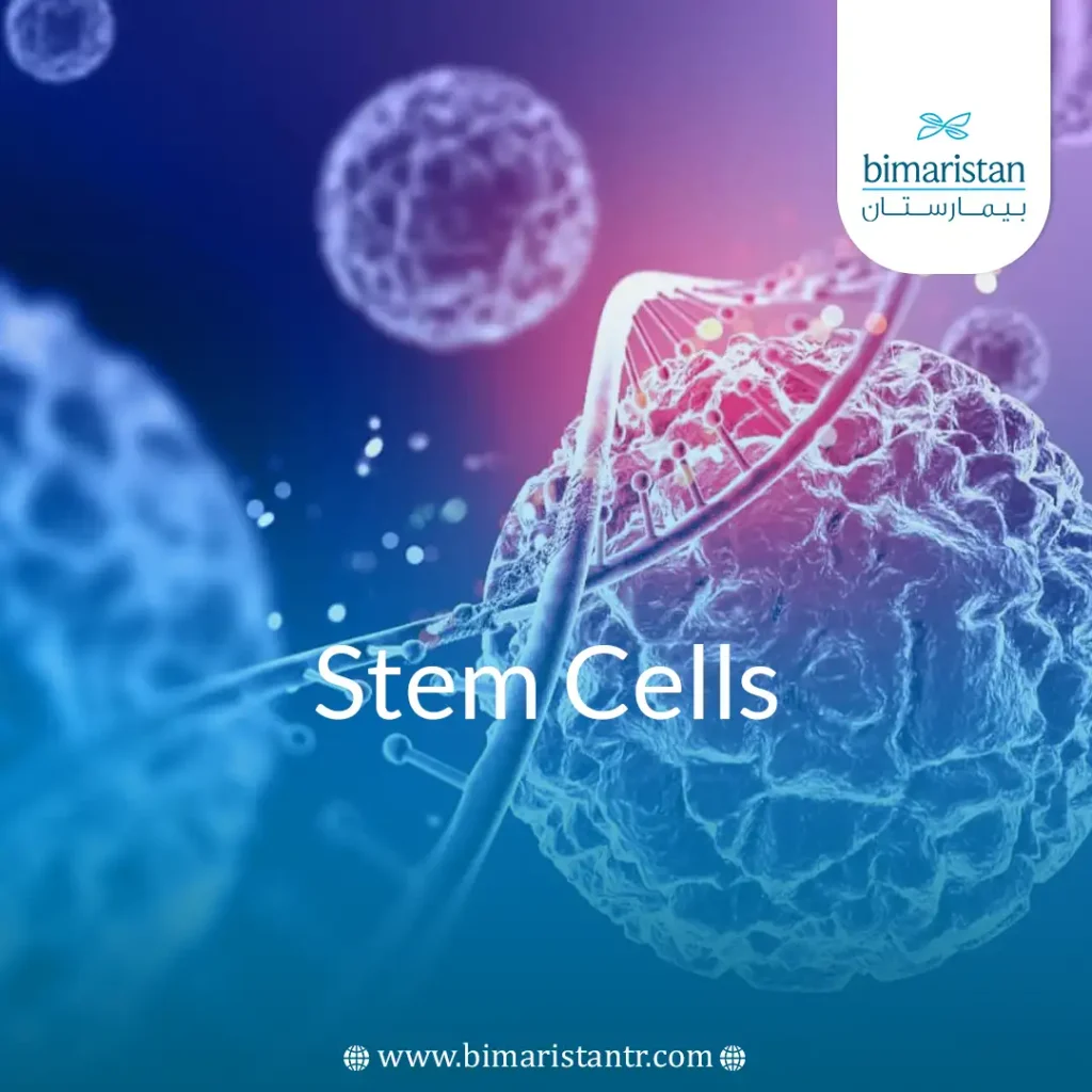 Stem Cells: Sources, Types & Benefits in Turkey - Bimaristan