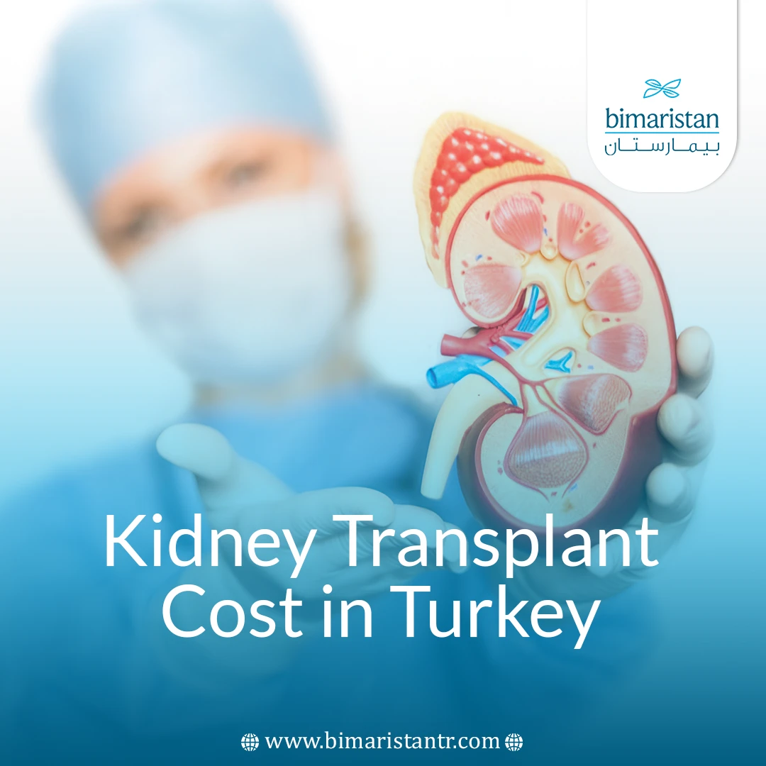 Kidney Transplant Cost in Turkey 2026 - Bimaristan